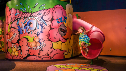 BodyQuest | Adventure Science Center