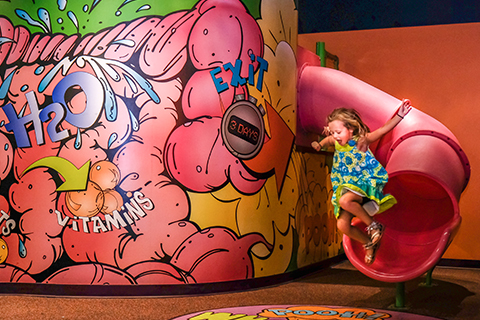 BodyQuest | Adventure Science Center