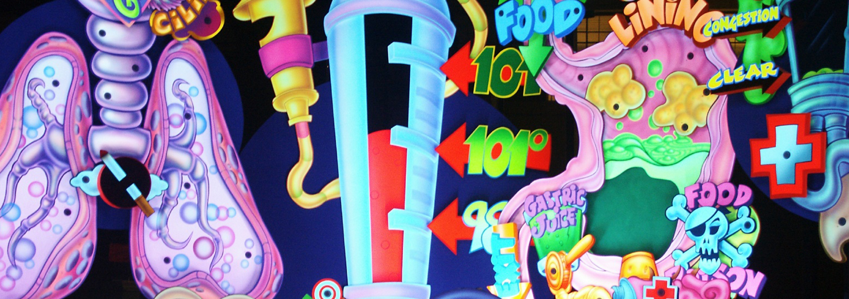 BodyQuest | Adventure Science Center