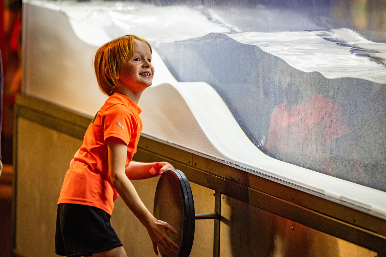 Exhibits | Adventure Science Center