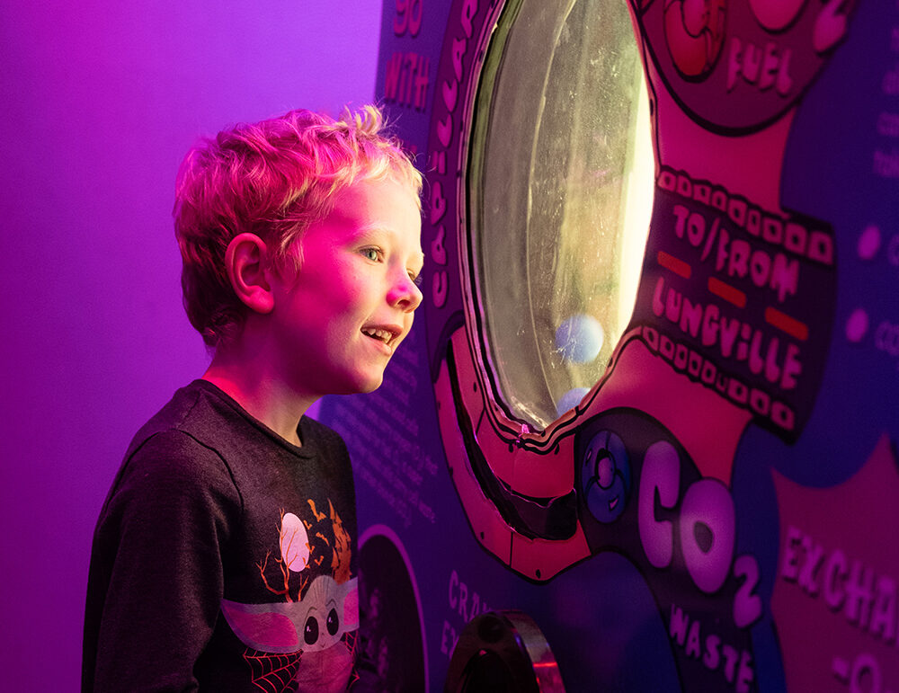 BodyQuest | Adventure Science Center