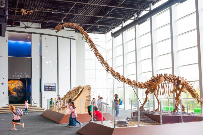 Fossil Frontiers | Adventure Science Center